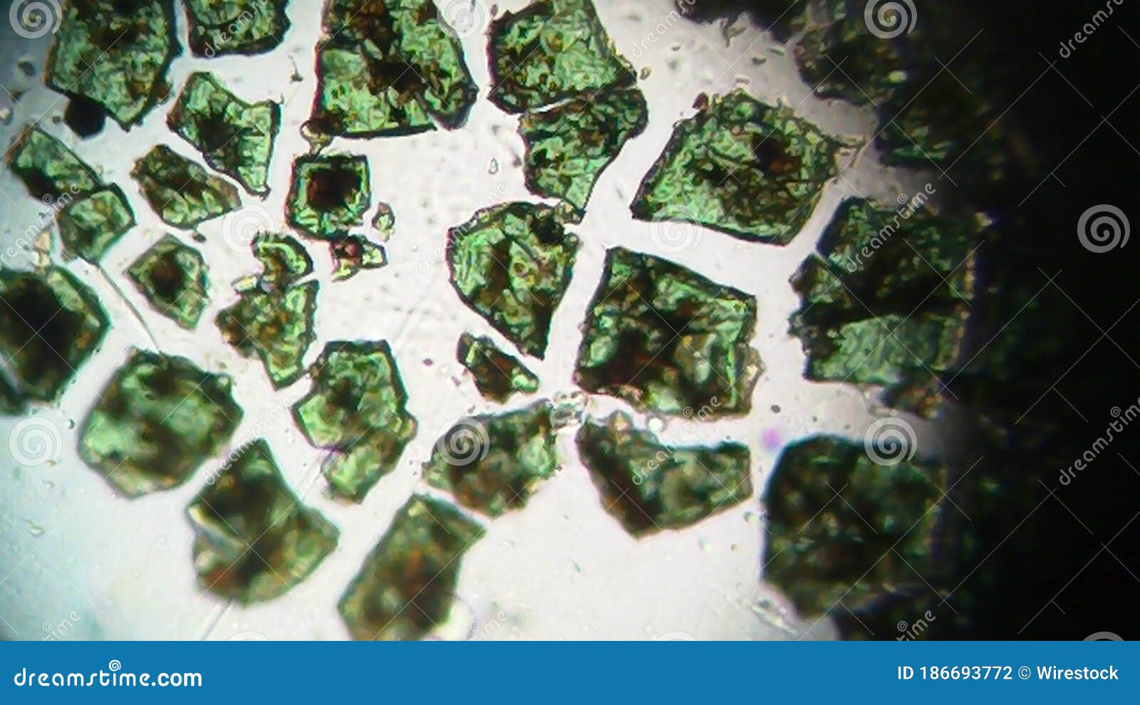 Microscopic View of Some Green Oxide Crystals on a White Background ...