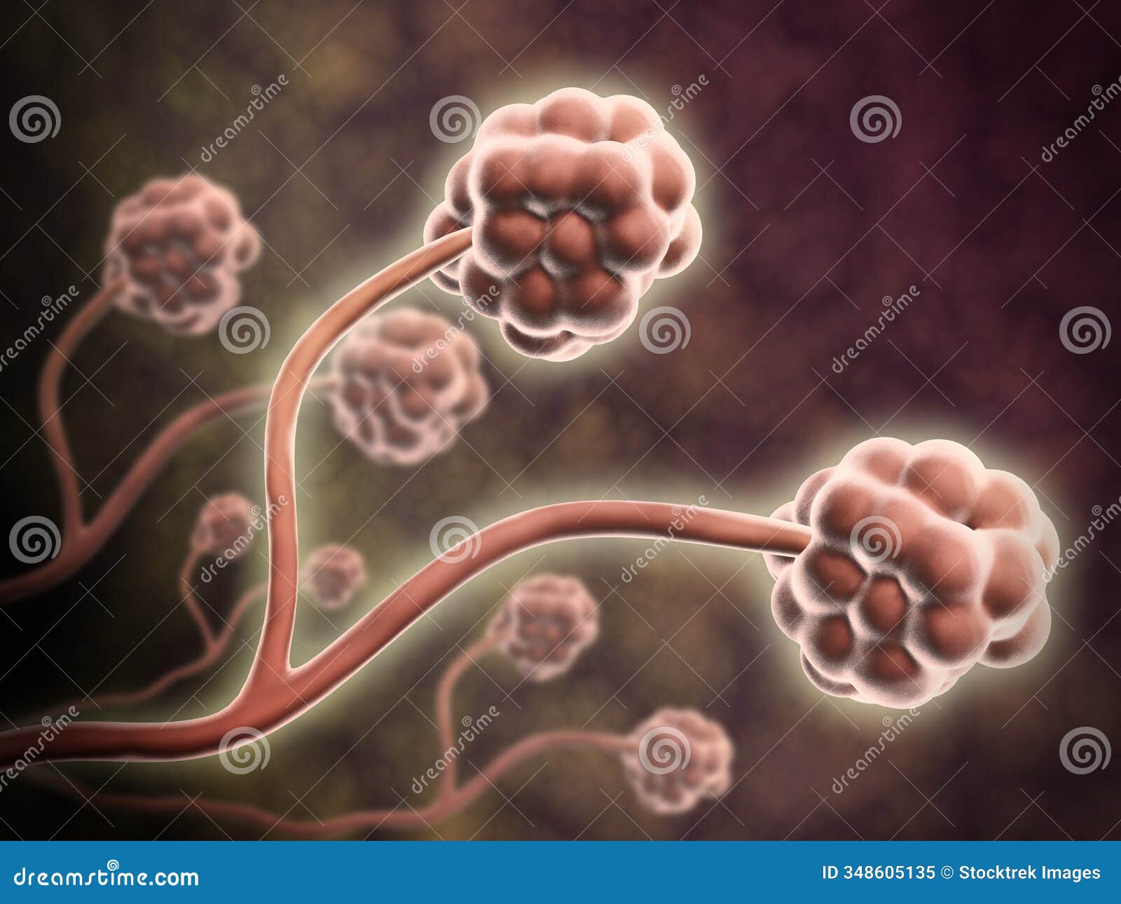 Microscopic View of Stachybotrys Chartarum. Stock Illustration ...