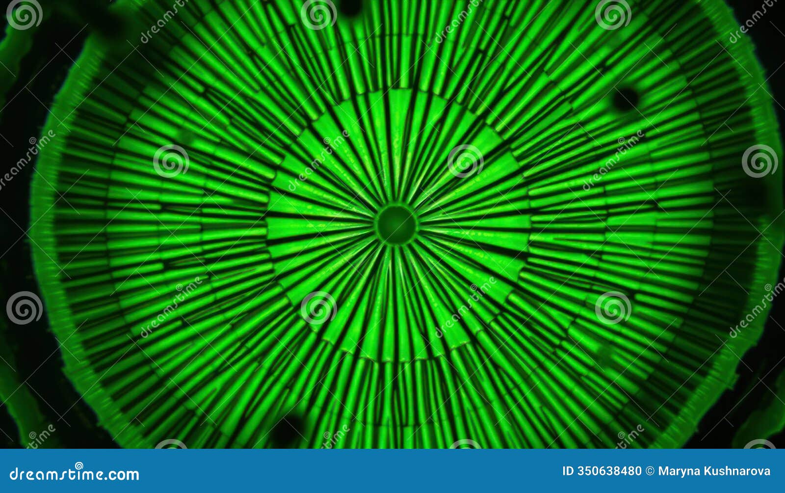 Microscopic View of Vibrant Green Algae. Detailed Structure Shows ...