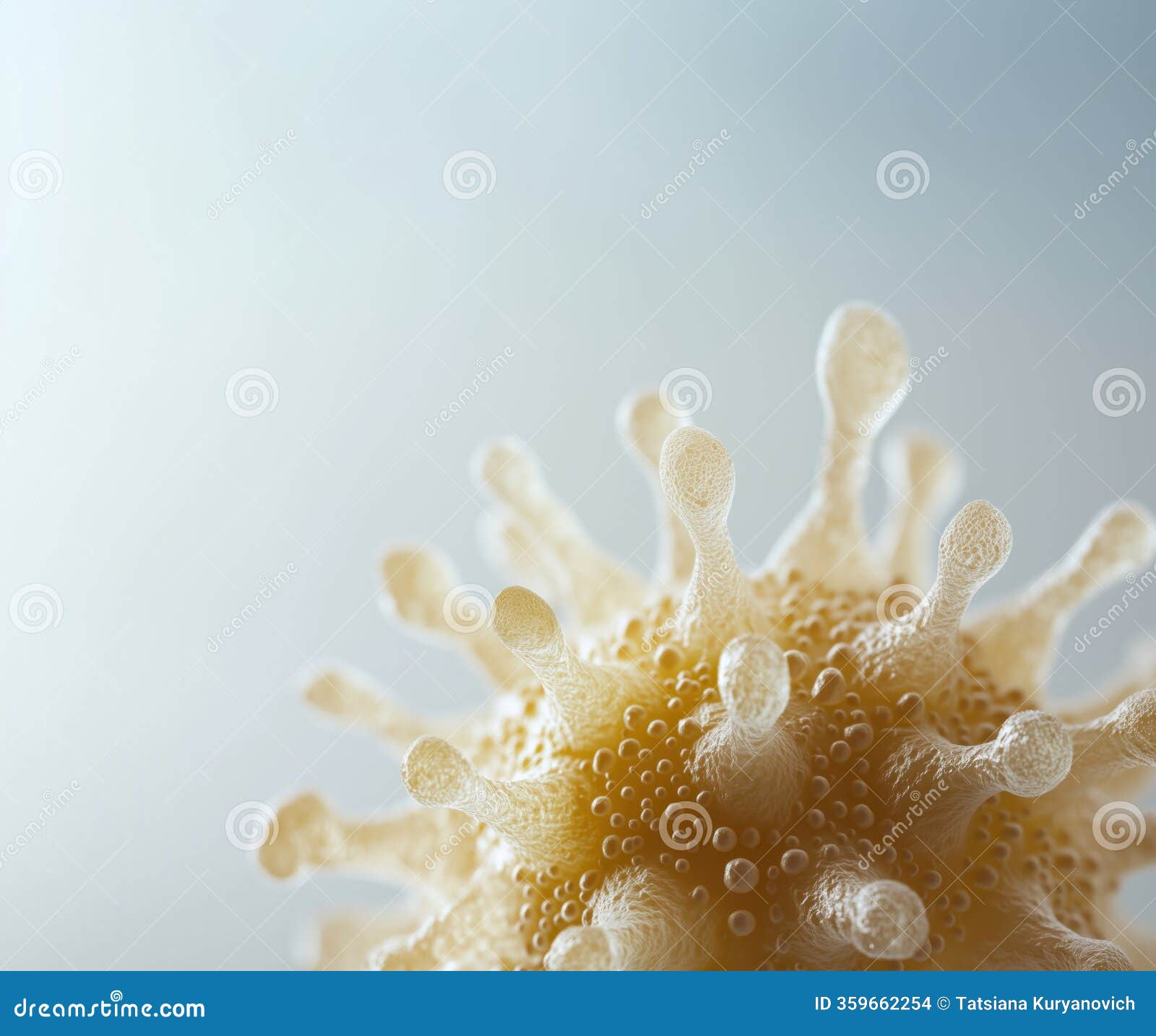 Microscopic View of Virus Structure Showcasing Intricate Surface ...