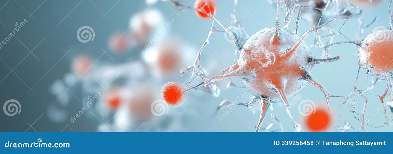 Microscopic View of White Blood Cells in Action Showcasing the ...