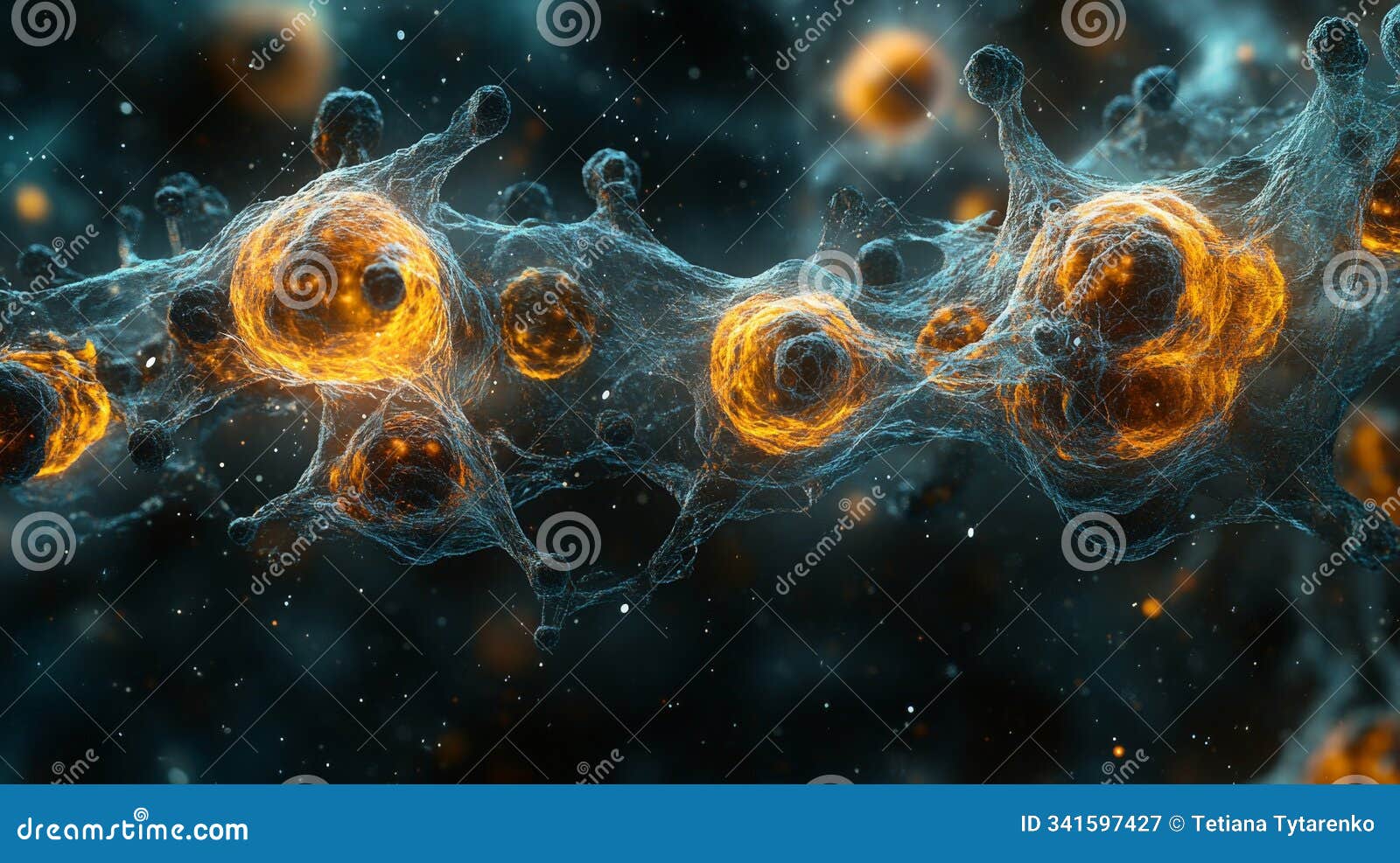 Yeast Cells Budding Depict The Asexual Reproduction Process Stock ...