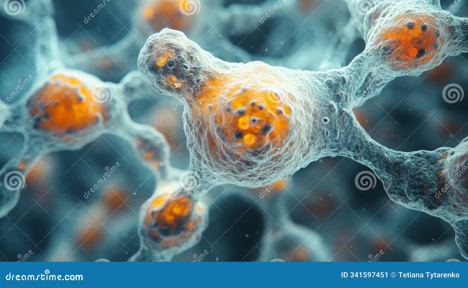 Microscopic View of Yeast Cells Budding in a Laboratory Setting Under ...