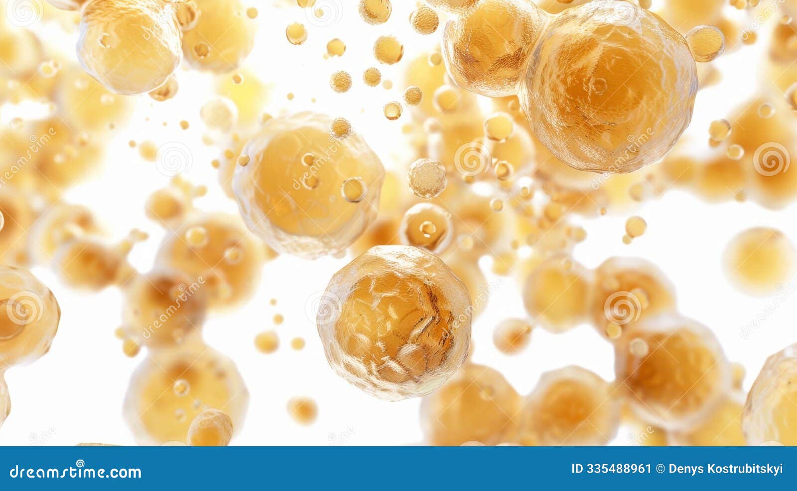 Microscopic View of Yeast Cells on a White Background Stock ... Microscopic View of Yeast Cells on a White Background Stock ...