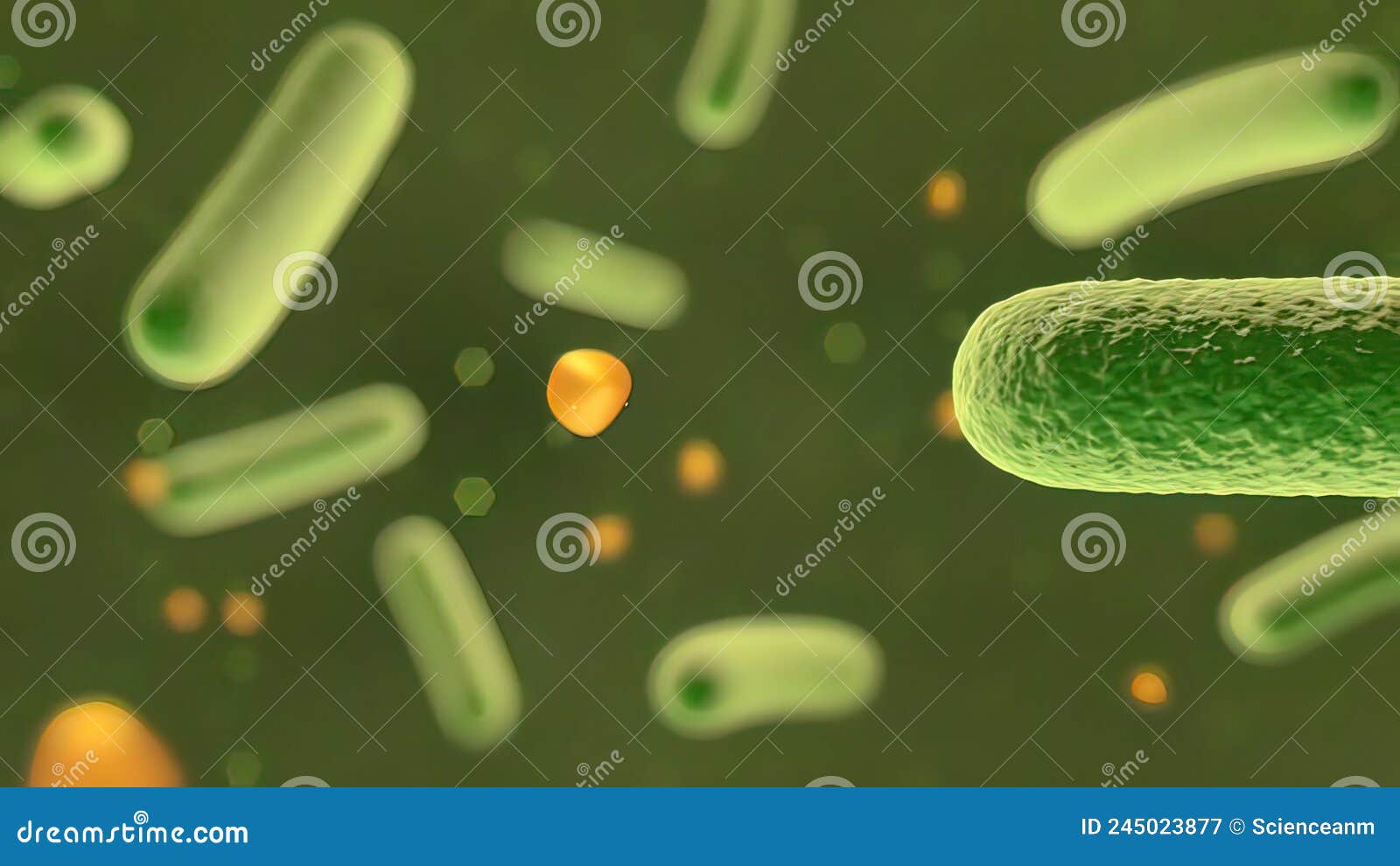 Microscopic Visualization of Bacteria Stock Illustration - Illustration ...
