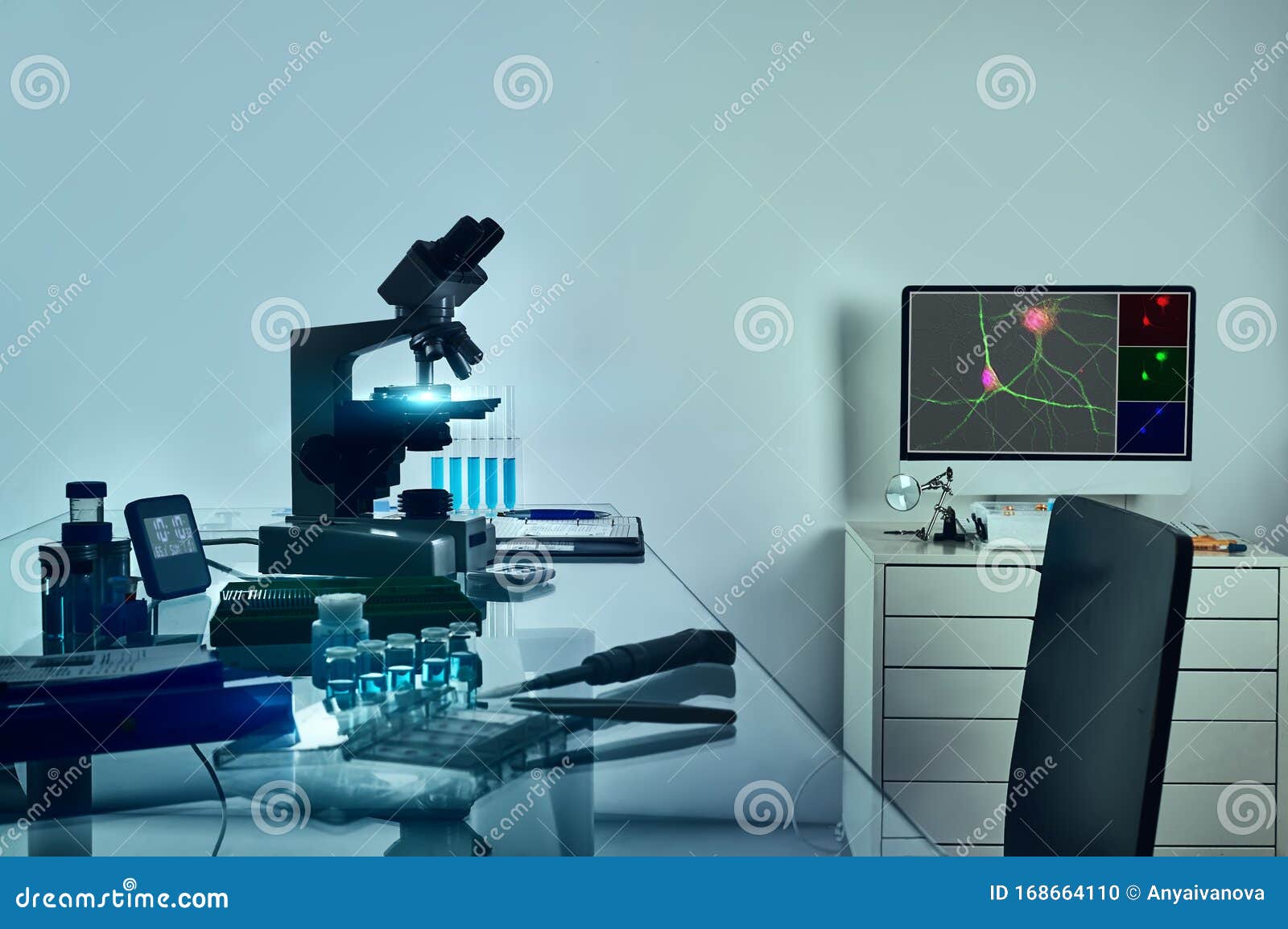 Microscope, Computer Monitor with Digital Fluorescent Image of Neuronal ...