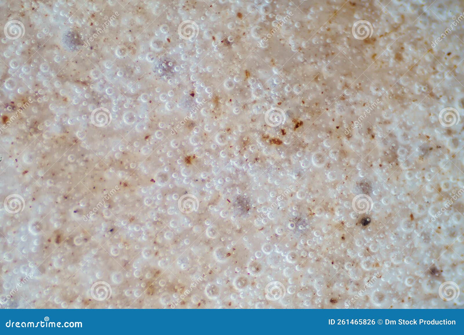 Bubble Structure of Ice Cream Stock Photo - Image of bubble, texture ...