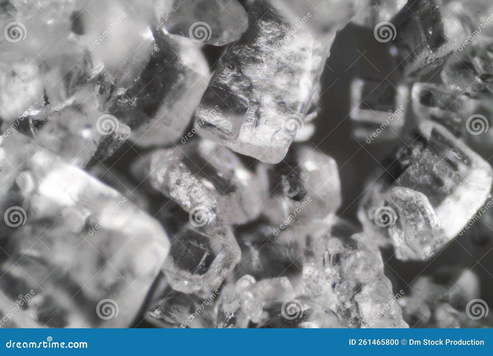 Salt crystals stock photo. Image of micrograph, micro - 261465800