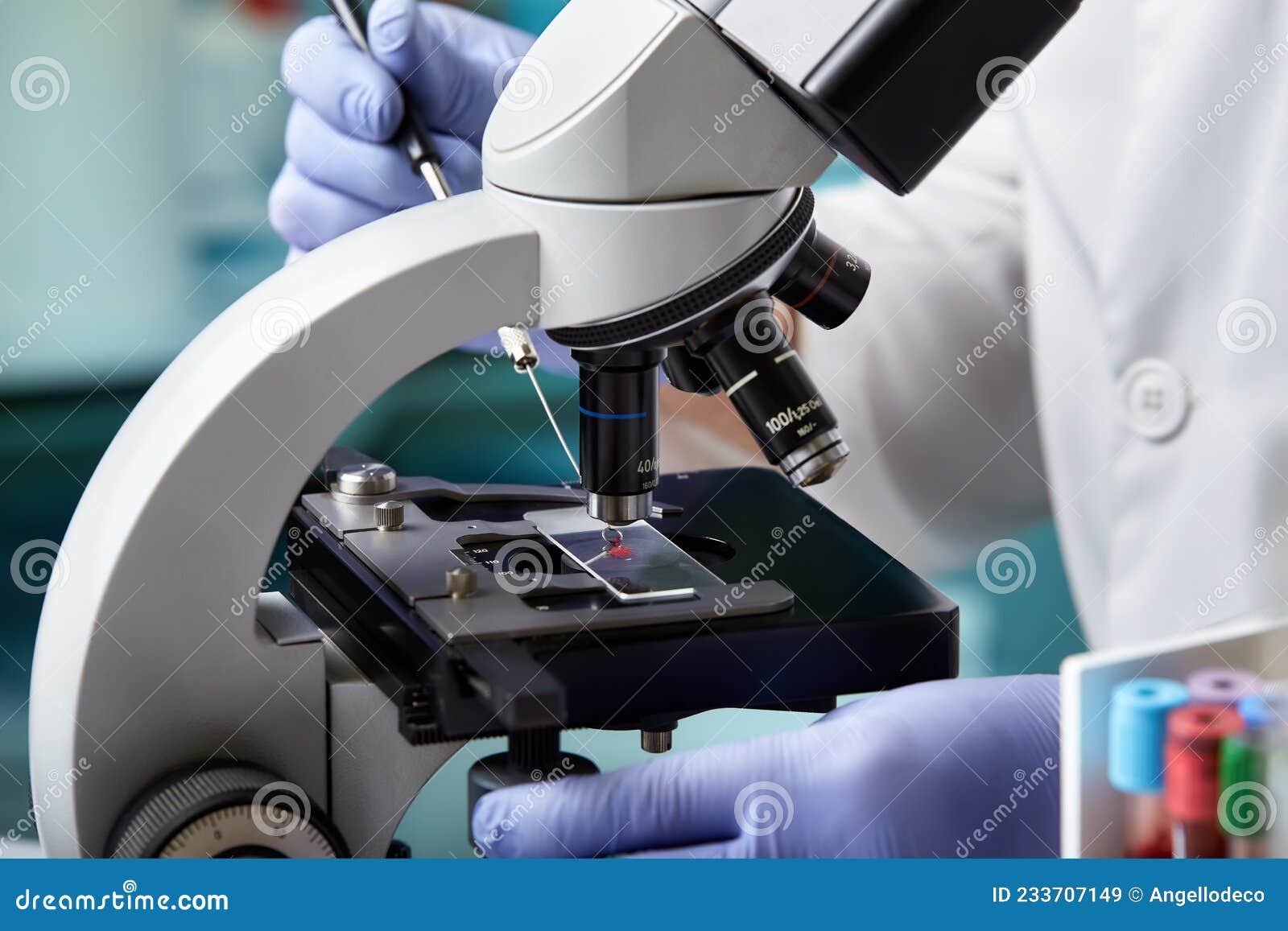 Microscopist Scientist Examining Biological Samples with a Microscope ...
