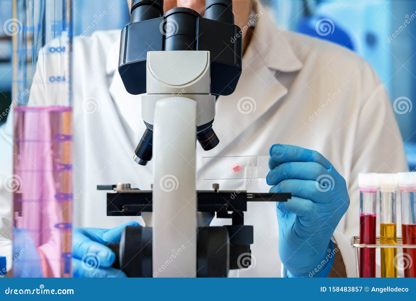 Microscopist Working With Biological Samples In The Microscope Of The ...