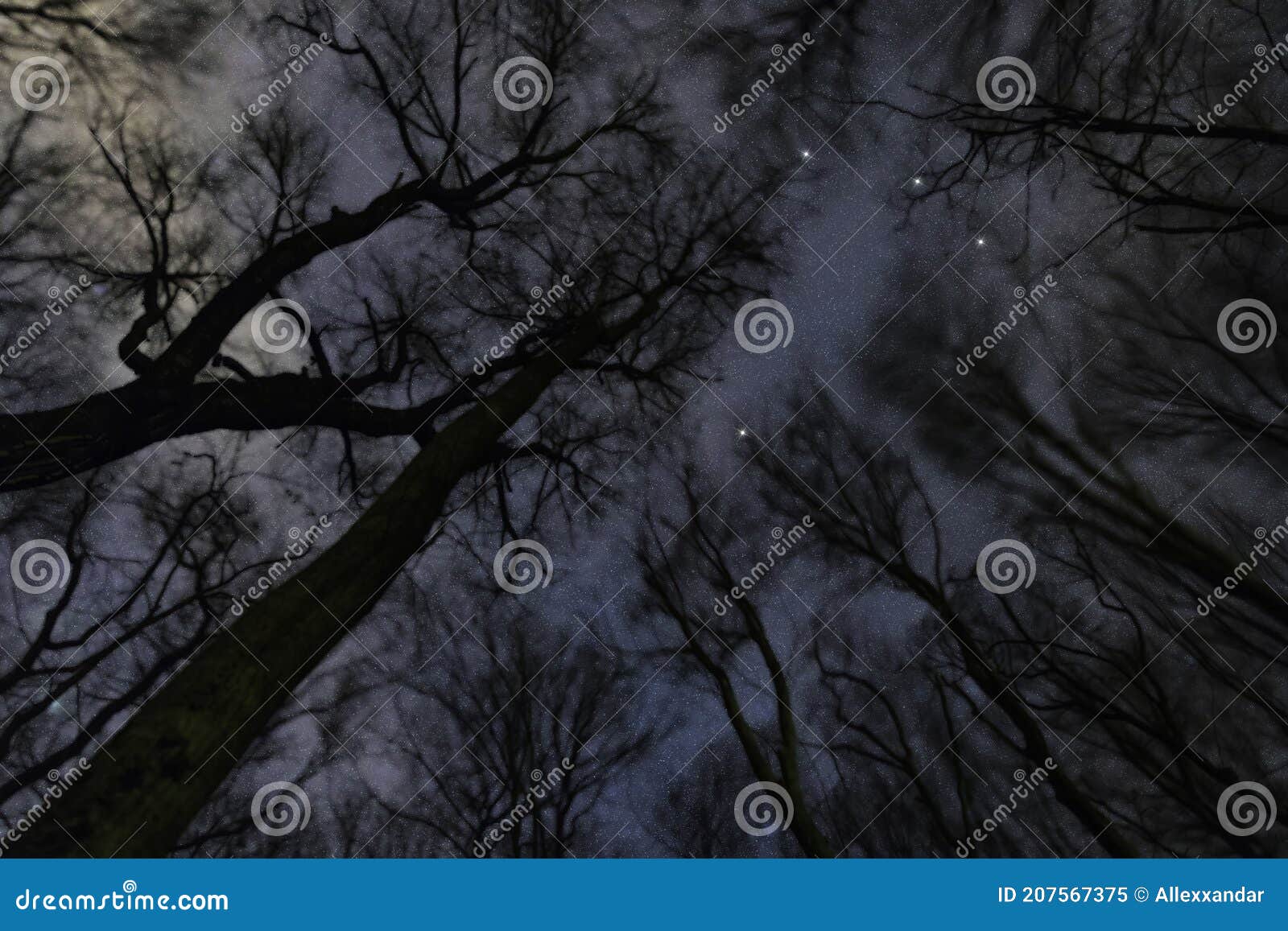 Microscopium Star Constellation, Night Sky, Cluster of Stars, Deep ...