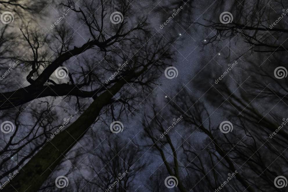 Microscopium Star Constellation, Night Sky, Cluster of Stars, Deep ...