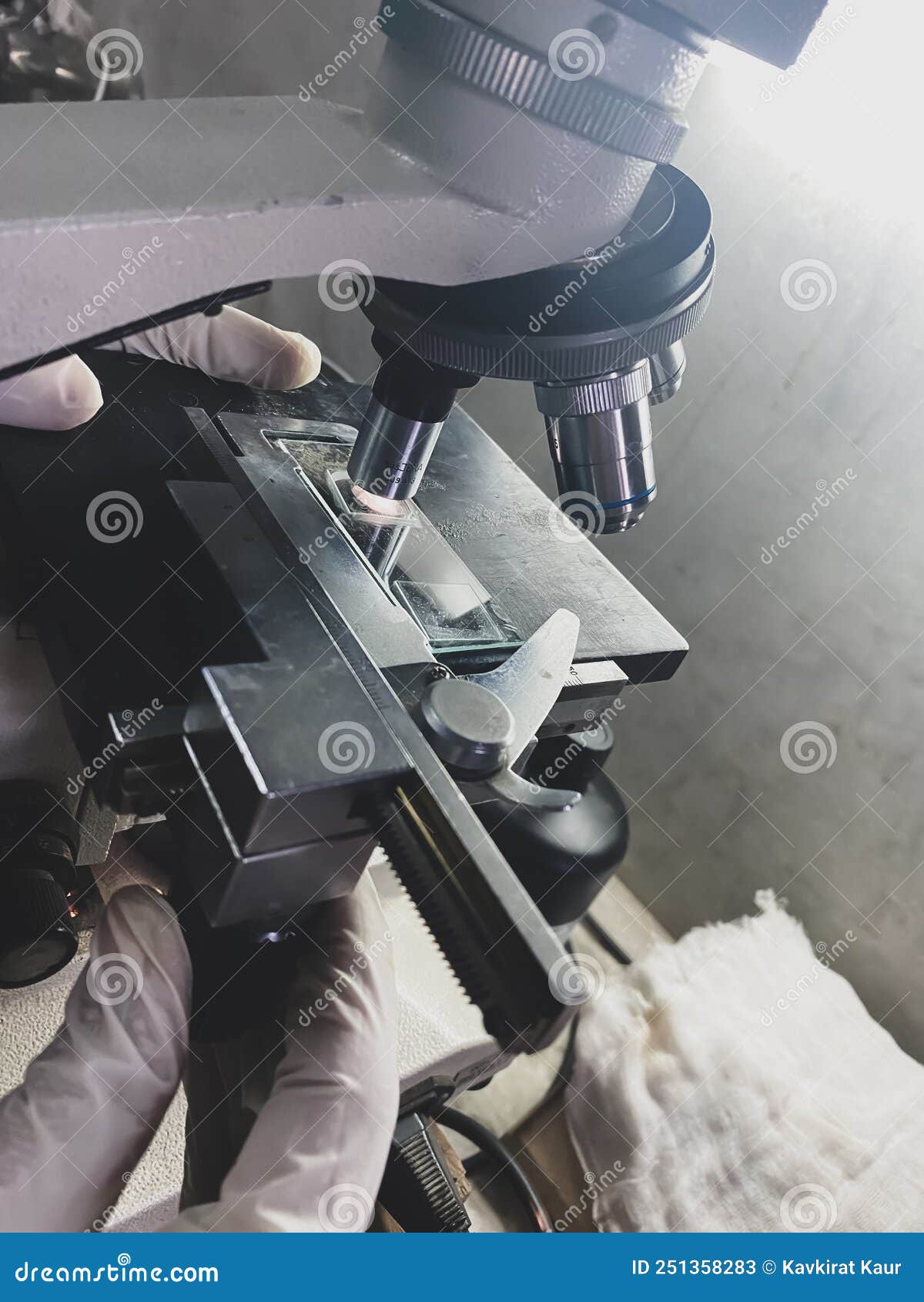 Microscopy Observation Testing of the Sample in the Laboratory Stock ...