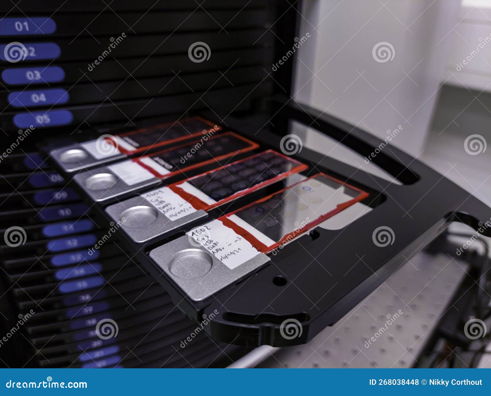 Microscopy Slides in Slide Scanner Tray Stock Photo - Image of tray ...