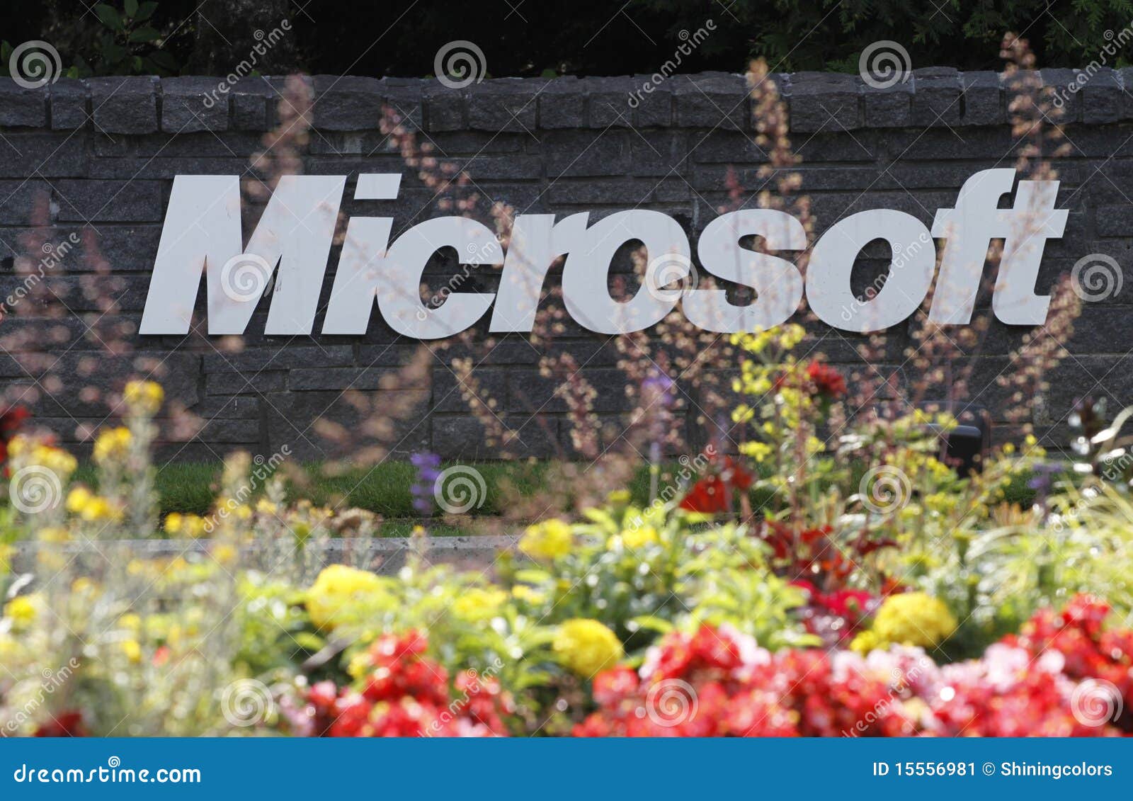 Microsoft Corporation editorial photo. Image of plants - 15556981