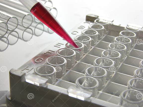 Microtitration plate stock photo. Image of chemical, closeup - 20983320
