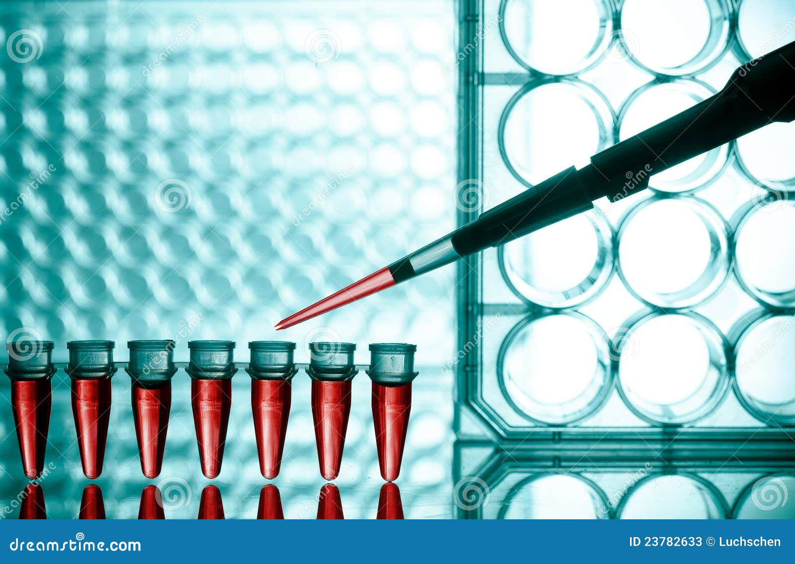 Microtubes stock image. Image of container, microbiological - 23782633