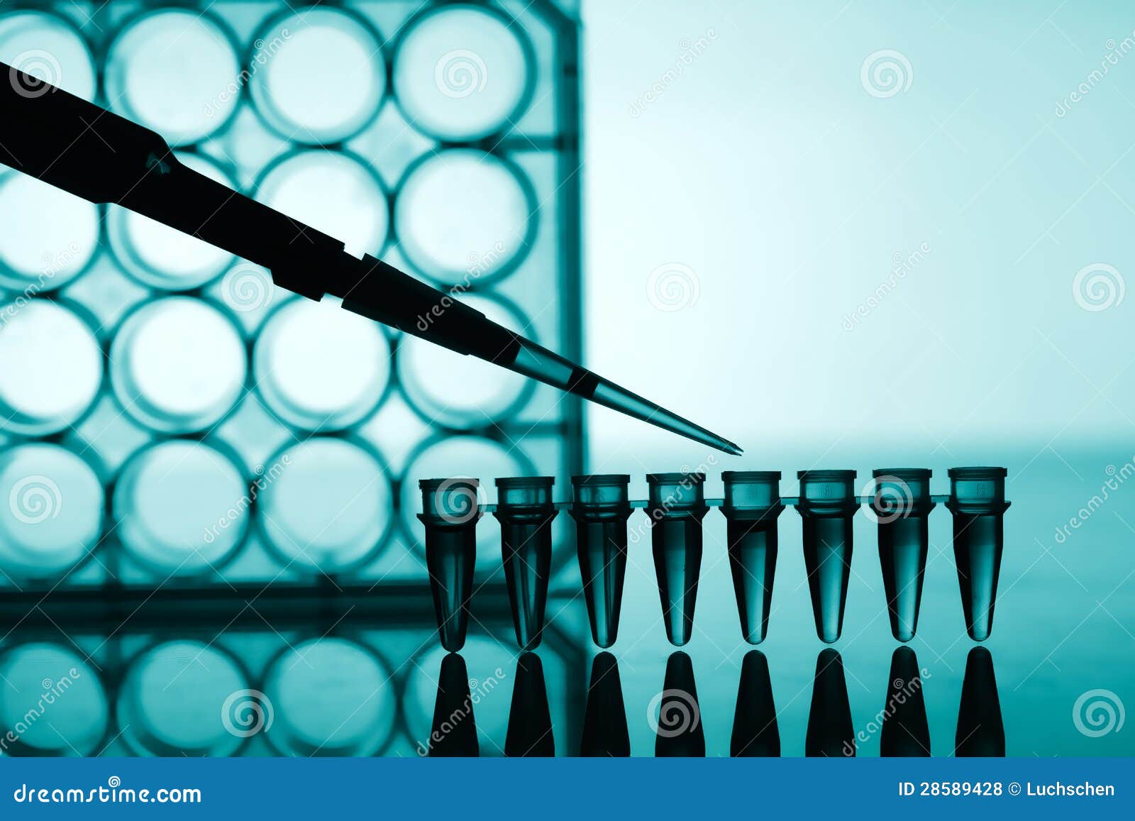 Microtubes stock photo. Image of laboratory, pipette - 28589428