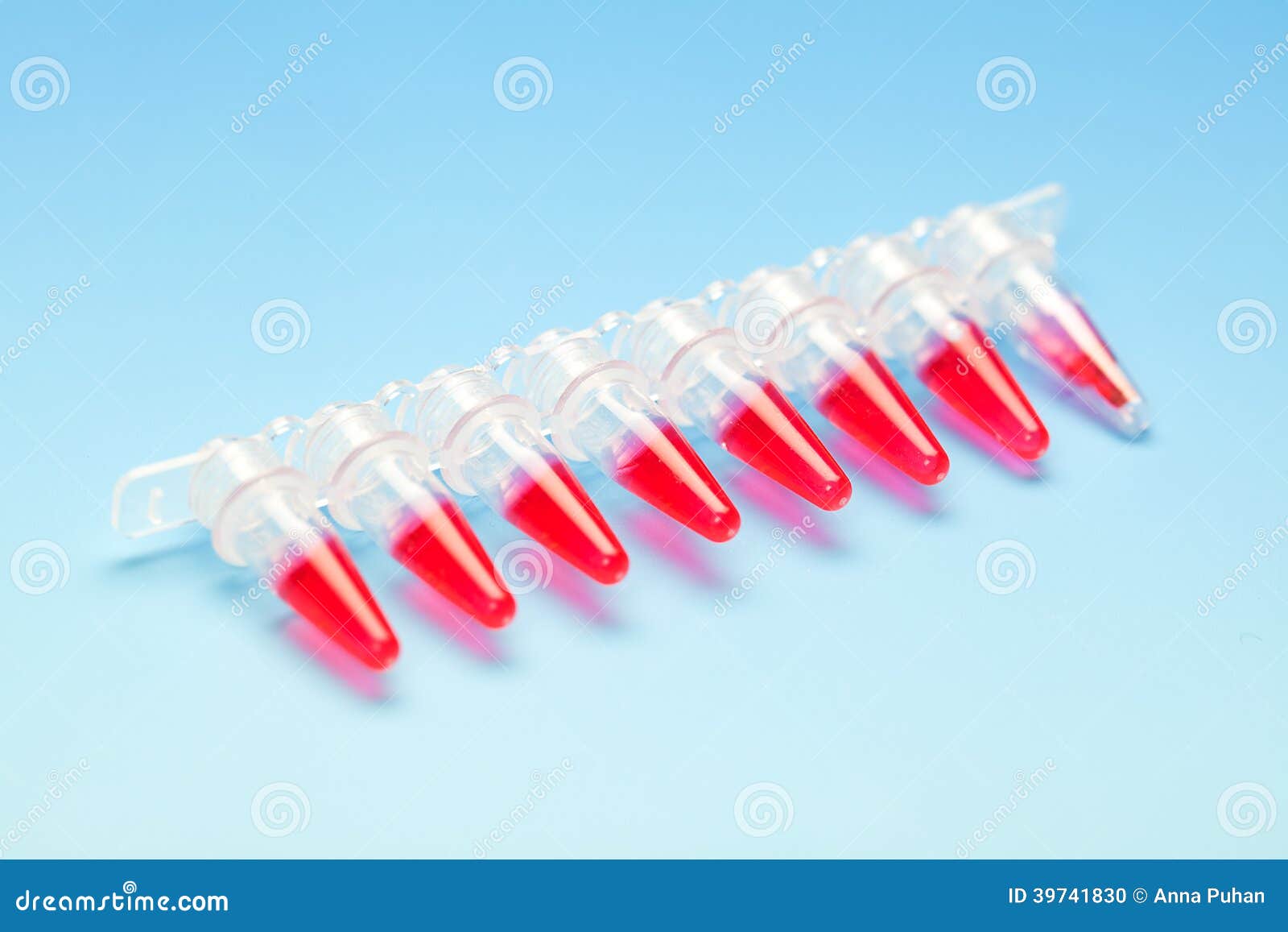 Microtubes with Biological Samples Stock Photo - Image of biotechnology ...