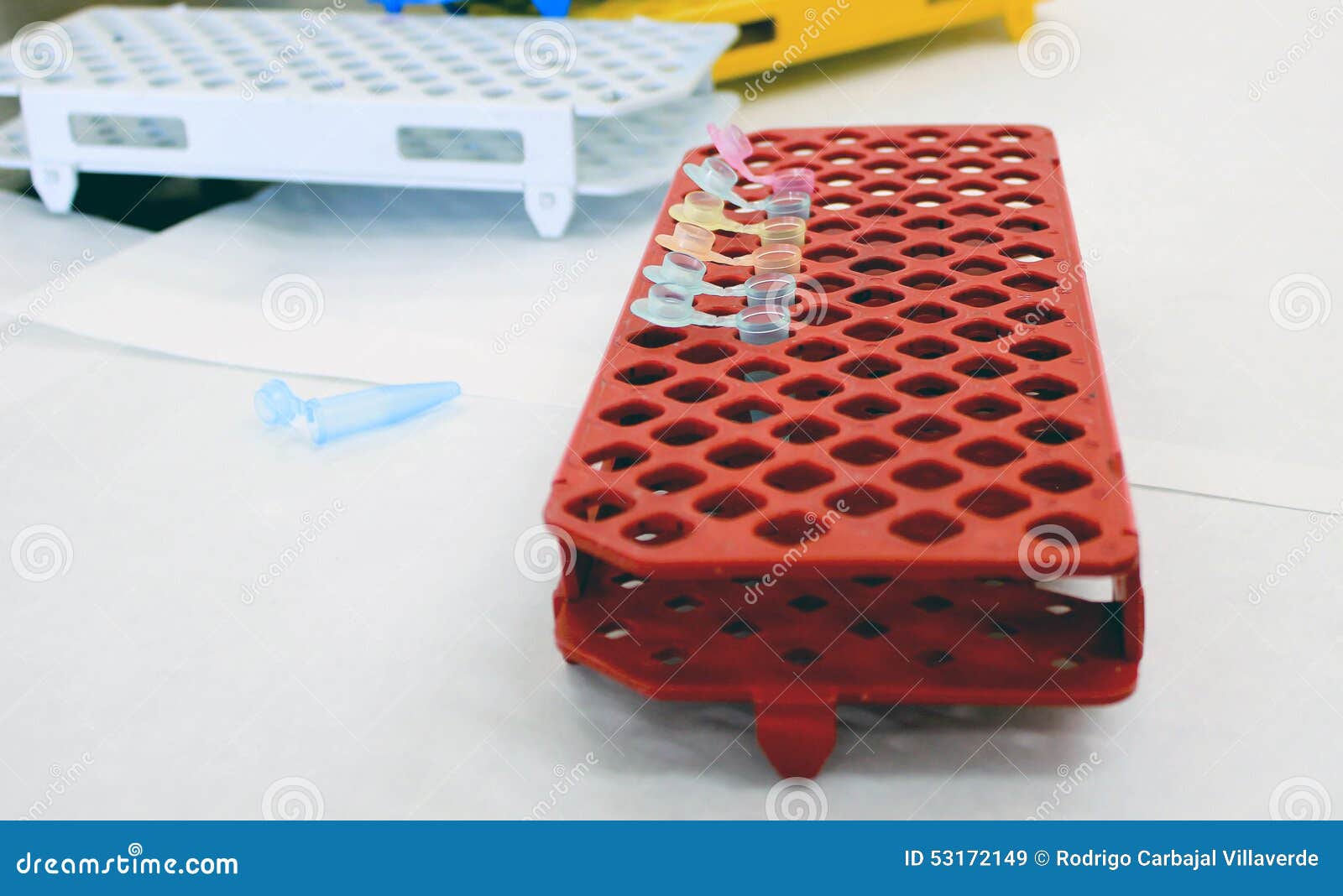 Microtubes stock image. Image of tubes, genetics, experiments - 53172149