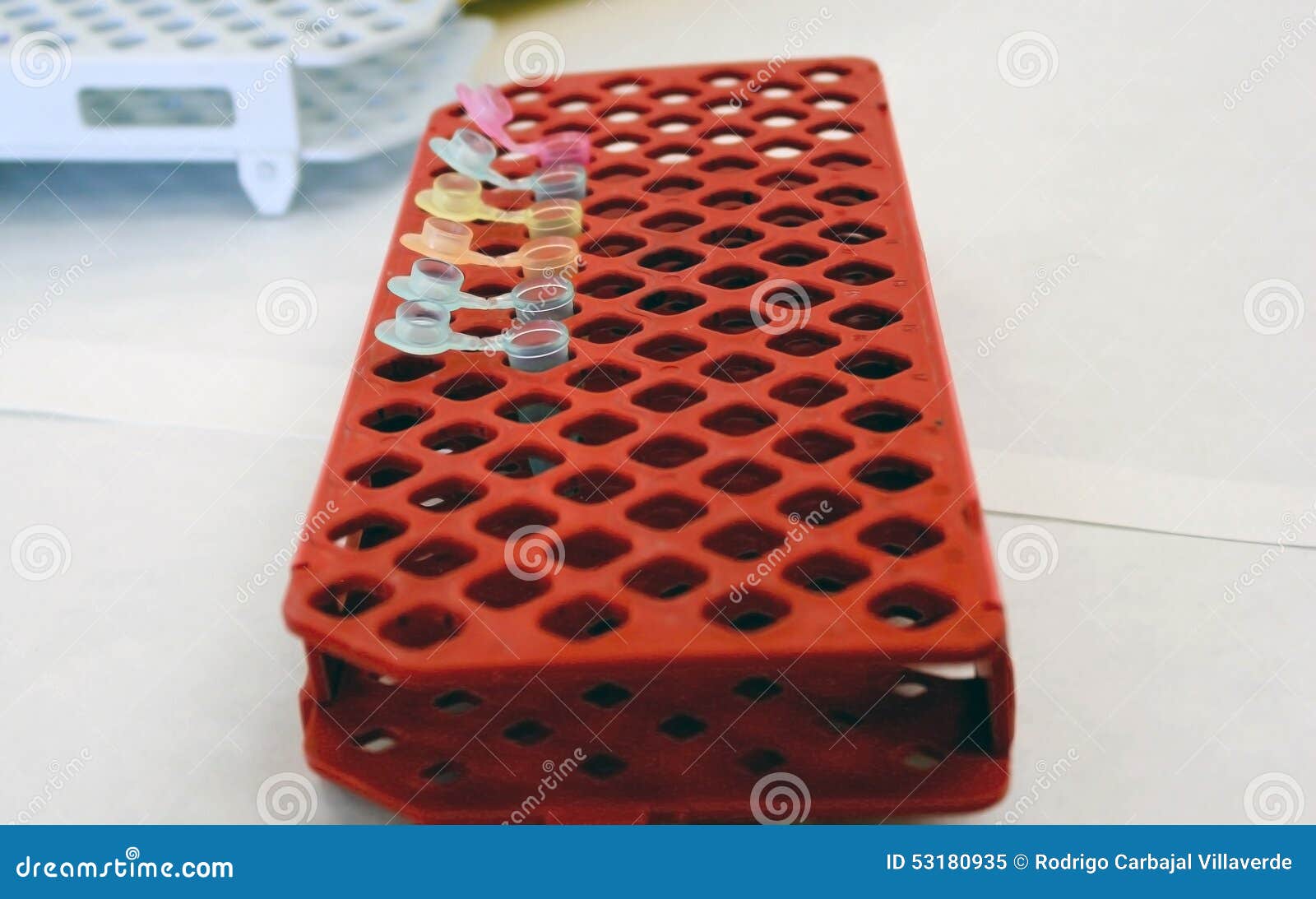 Microtubes stock image. Image of laboratoty, spain, genetics - 53180935