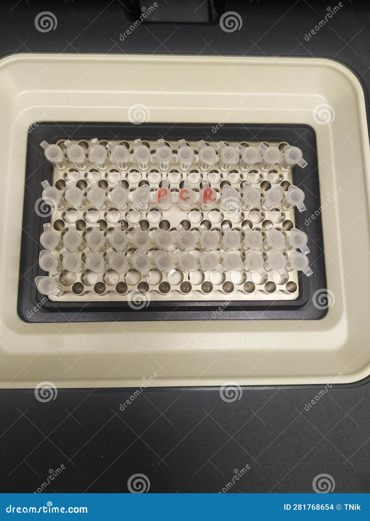 Microtubes in the Cyclers, PCR Analysis. Stock Photo - Image of ...