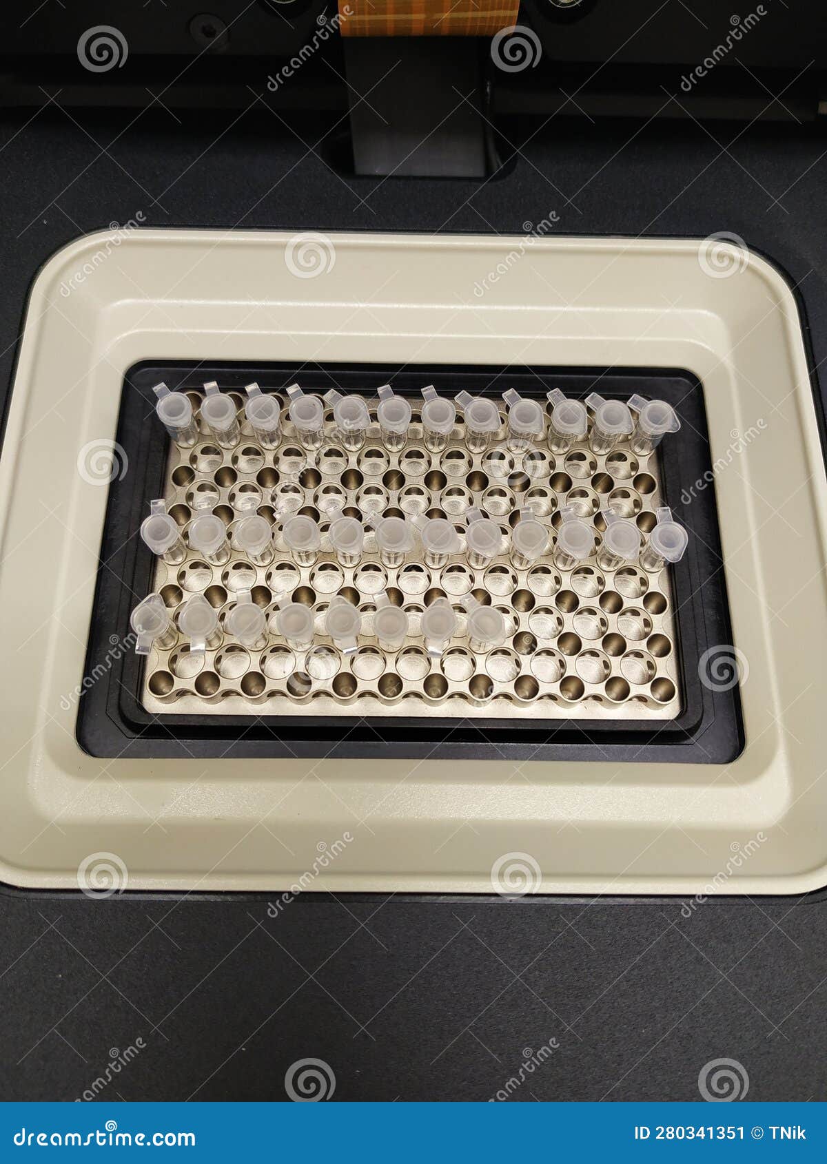 Microtubes in the Cyclers. PCR Analysis Stock Image - Image of ...