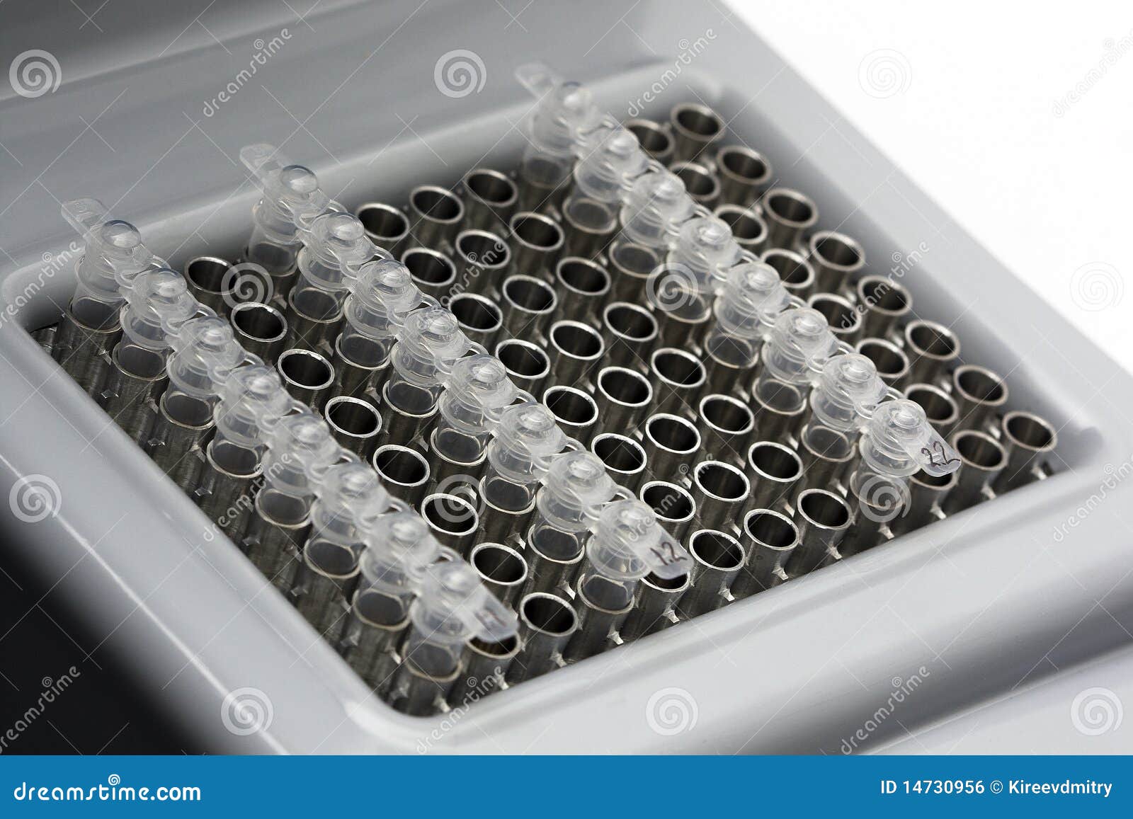 Microtubes in the Thermocycler Stock Photo - Image of experiment, real ...