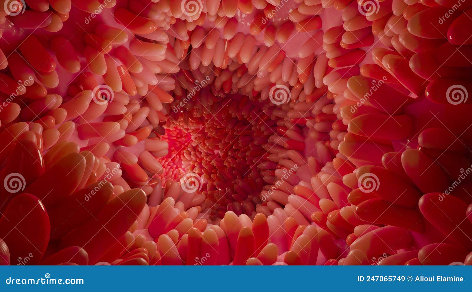 Microvilli Surface of Digestive System, Intestinal Villi with Bacteria ...