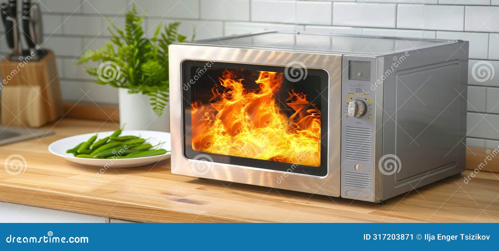 Microwave Oven Damage from Electrical Breakdown or Short Circuit ...