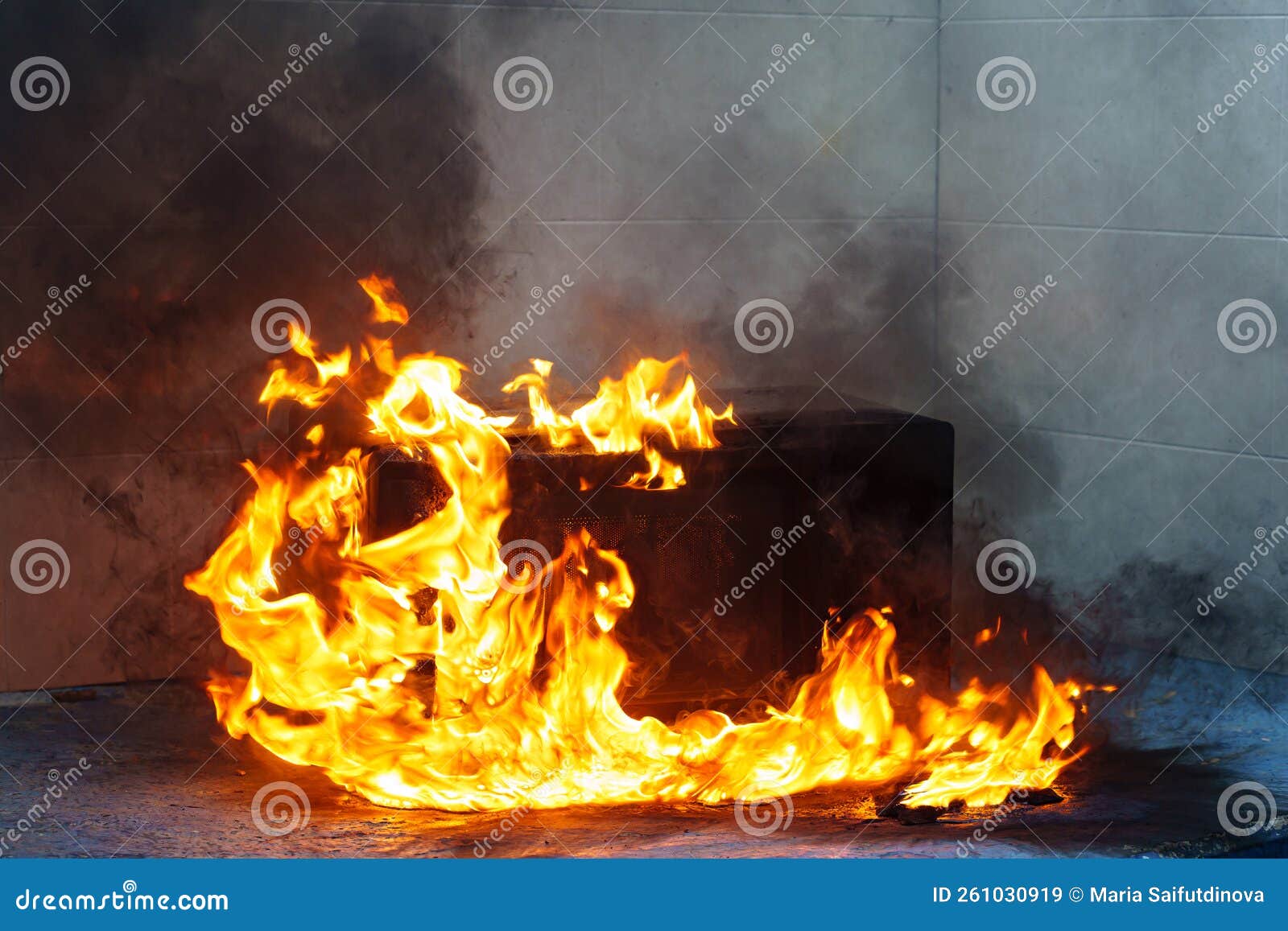 Microwave Oven on Fire. the Concept of Fire in the Kitchen. Stock Image ...
