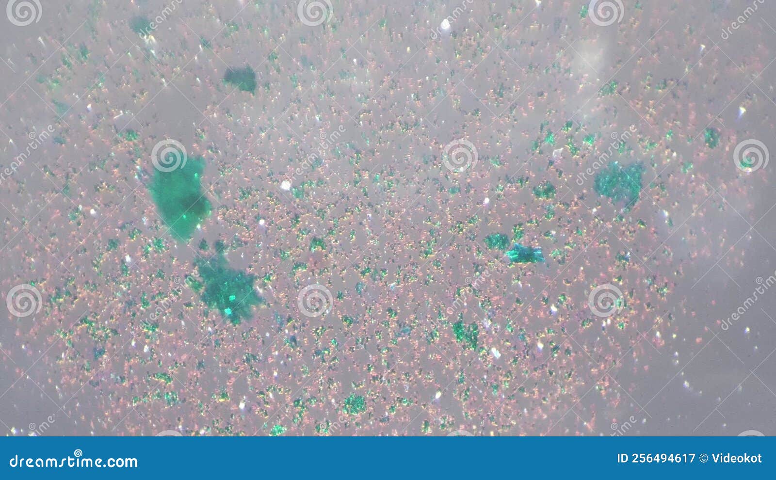 Microzyme Whole Mount Under Microscope 100x Filmed with Cross Light ...