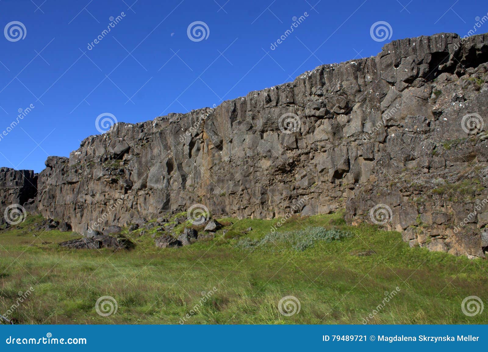 The Mid-Atlantic Ridge in Iceland in Thingvellir Stock Image - Image of ...