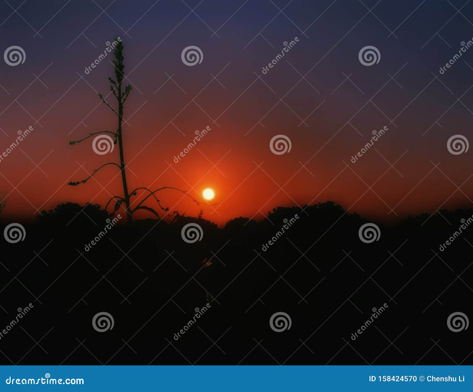Mid-autumn day sunset stock photo. Image of tree, autumn - 158424570