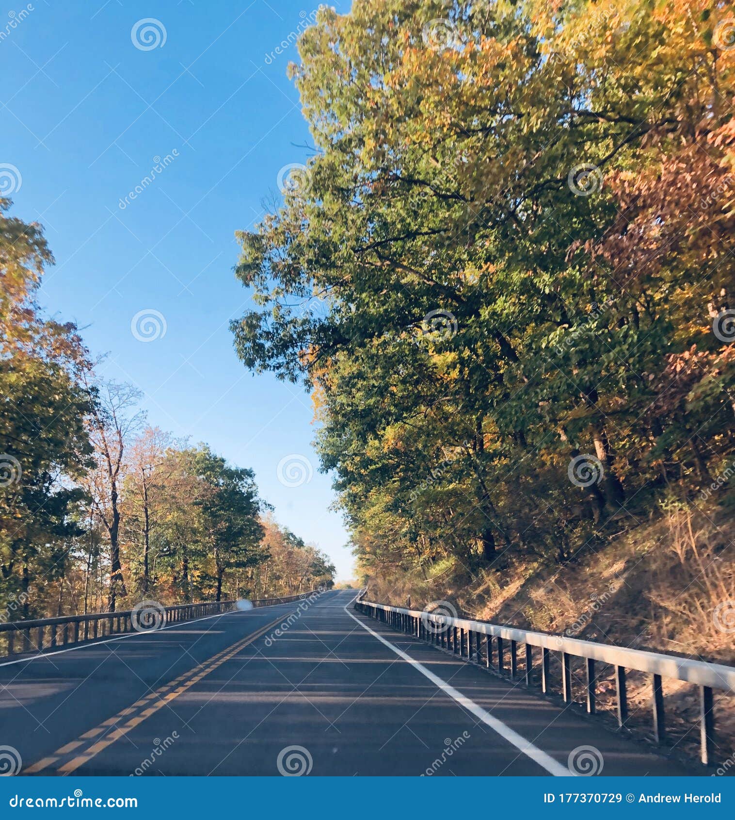 Mid day drive stock image. Image of sunny, road, drive - 177370729