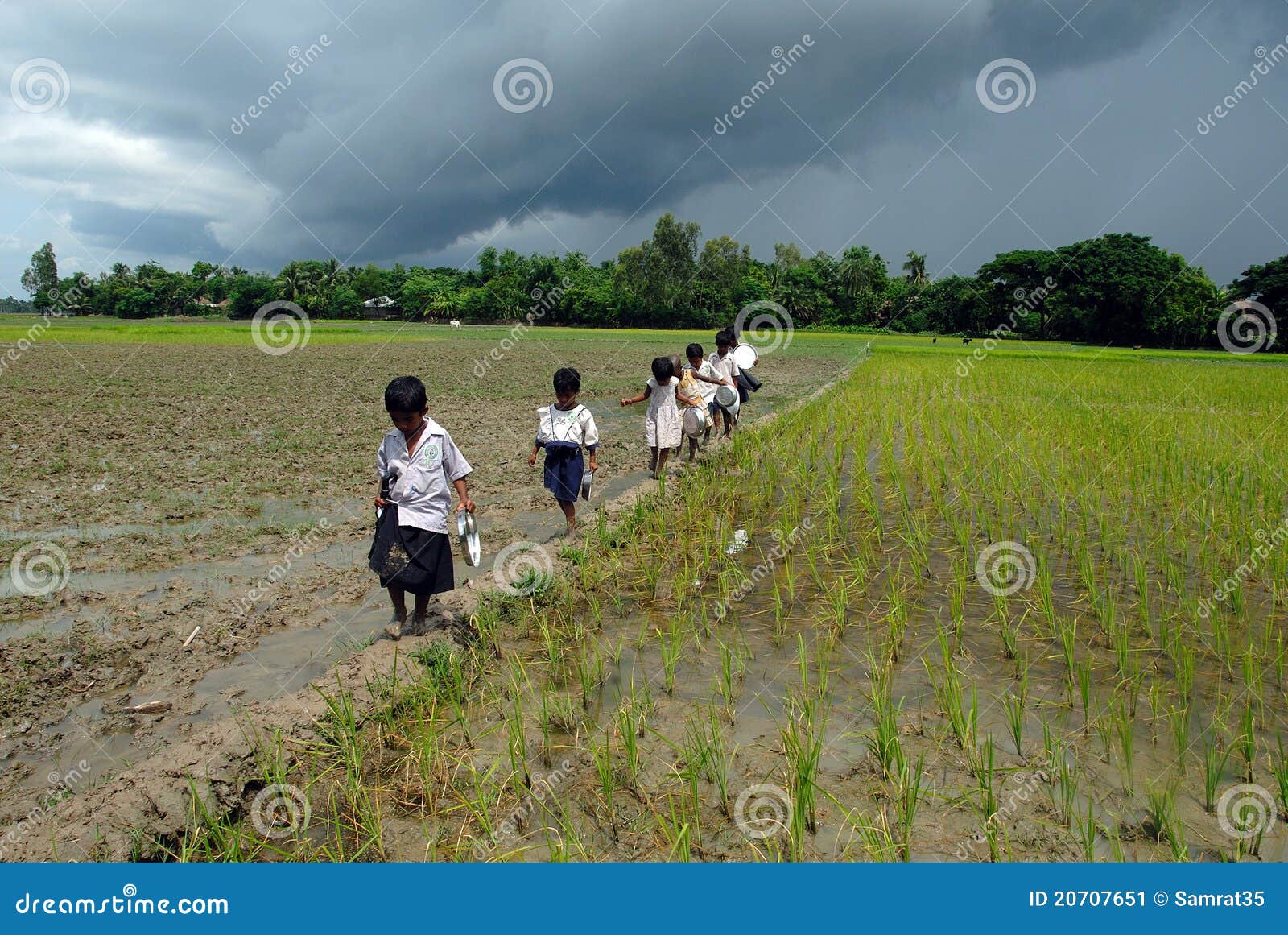 Mid-day Meal in India editorial photo. Image of ethnic - 20707651