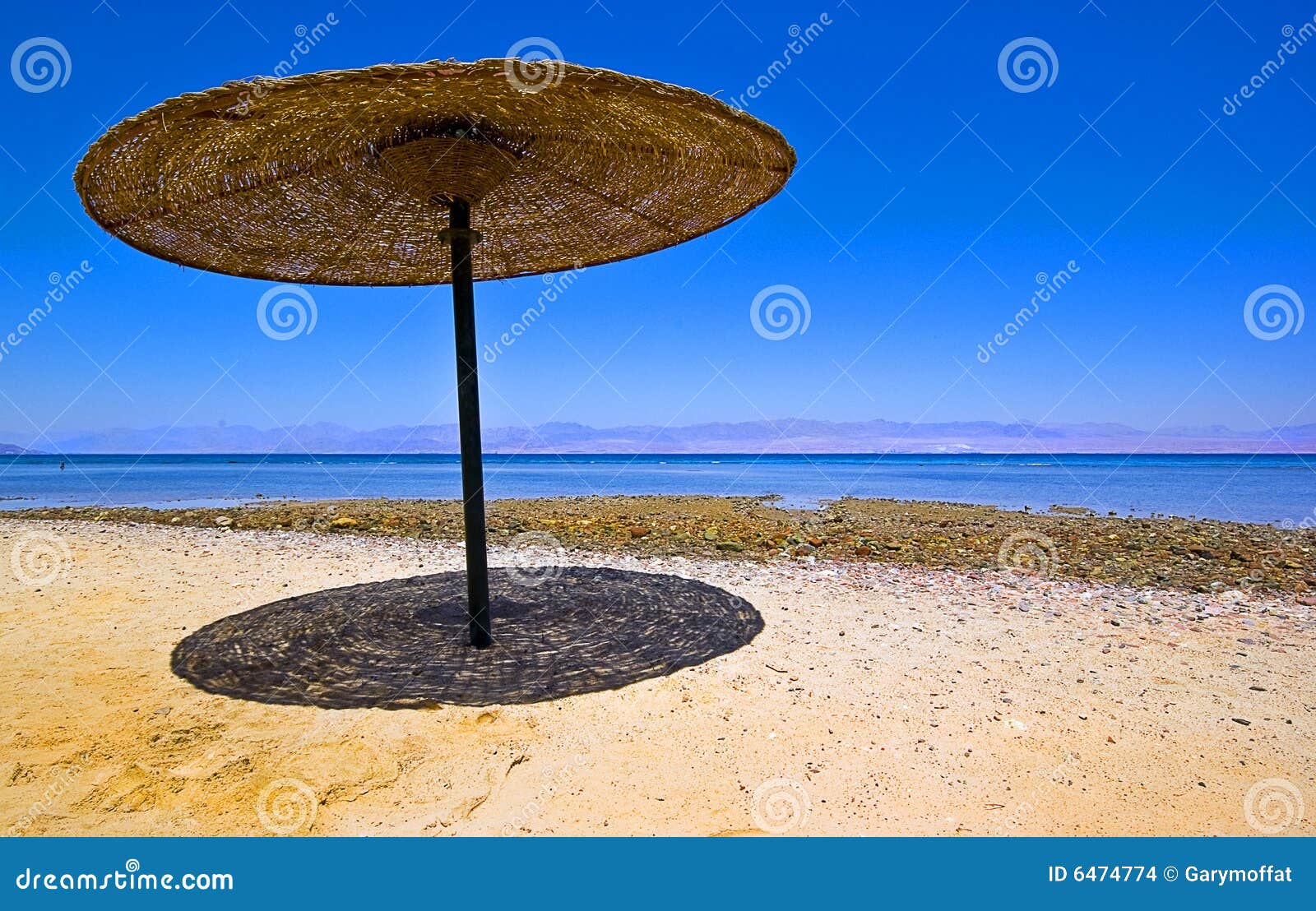 Mid Day Shade stock photo. Image of beautiful, light, clear - 6474774