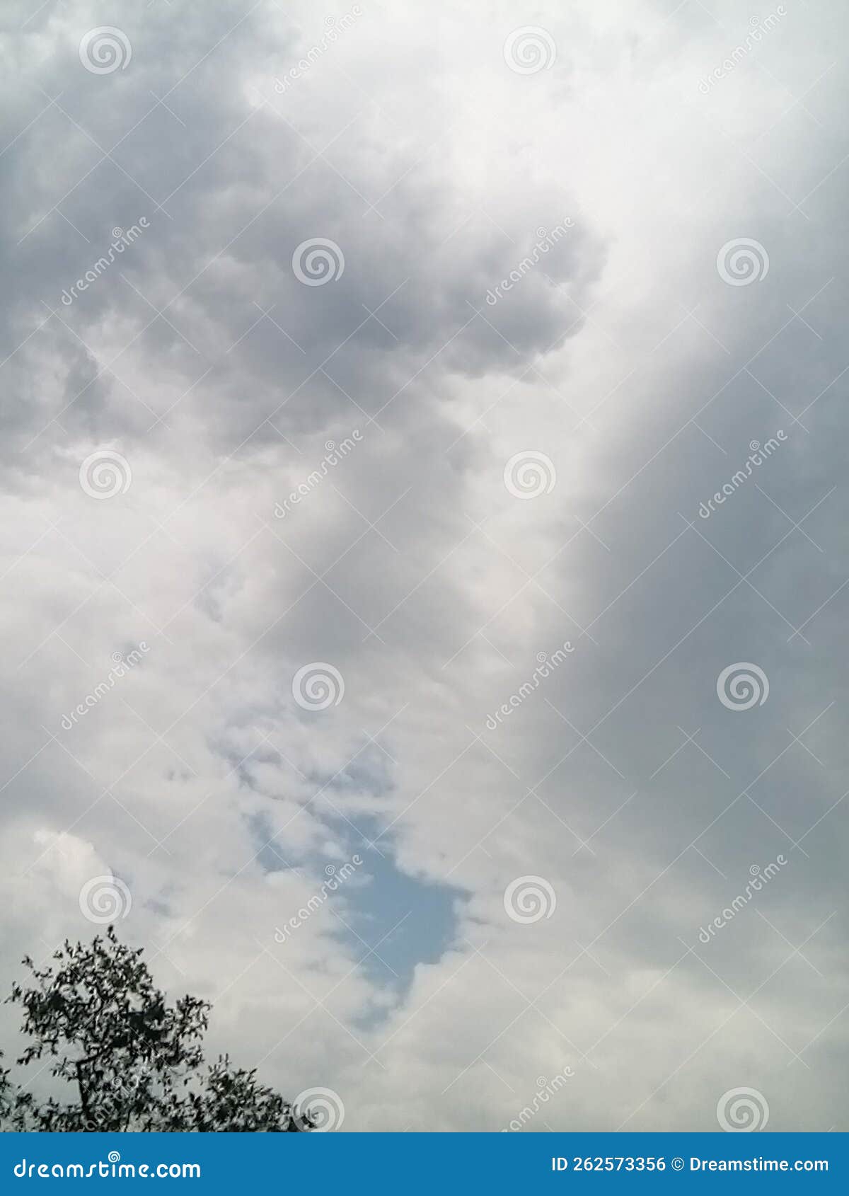 Mid Day Sky Background with Tree Stock Photo - Image of tree ...