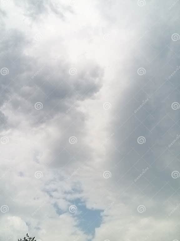 Mid Day Sky Background with Tree Stock Photo - Image of tree ...