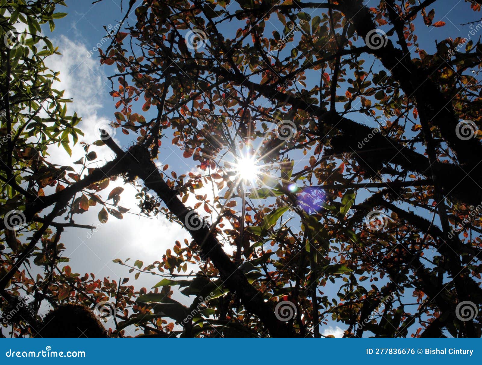 Mid-day Sun Shines Brighter Stock Photo - Image of dazzling, sunlight ...