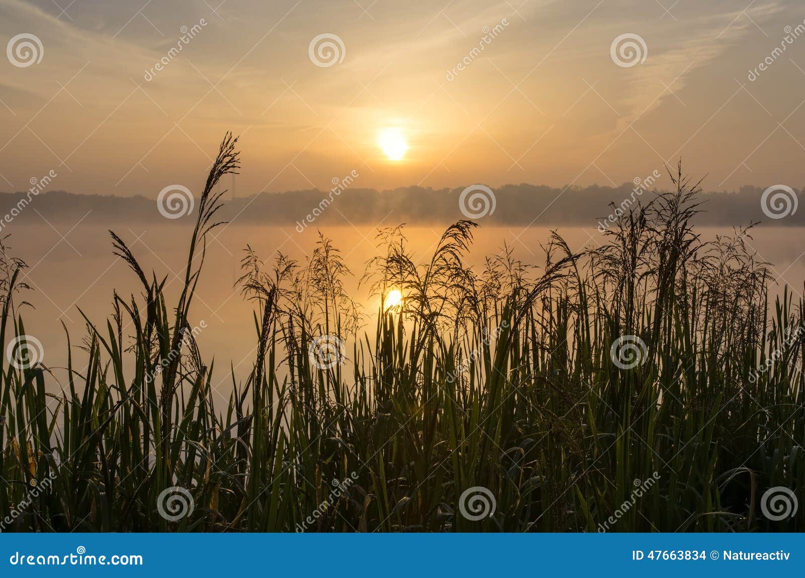 Mid-morning over lake. stock photo. Image of nature, travel - 47663834