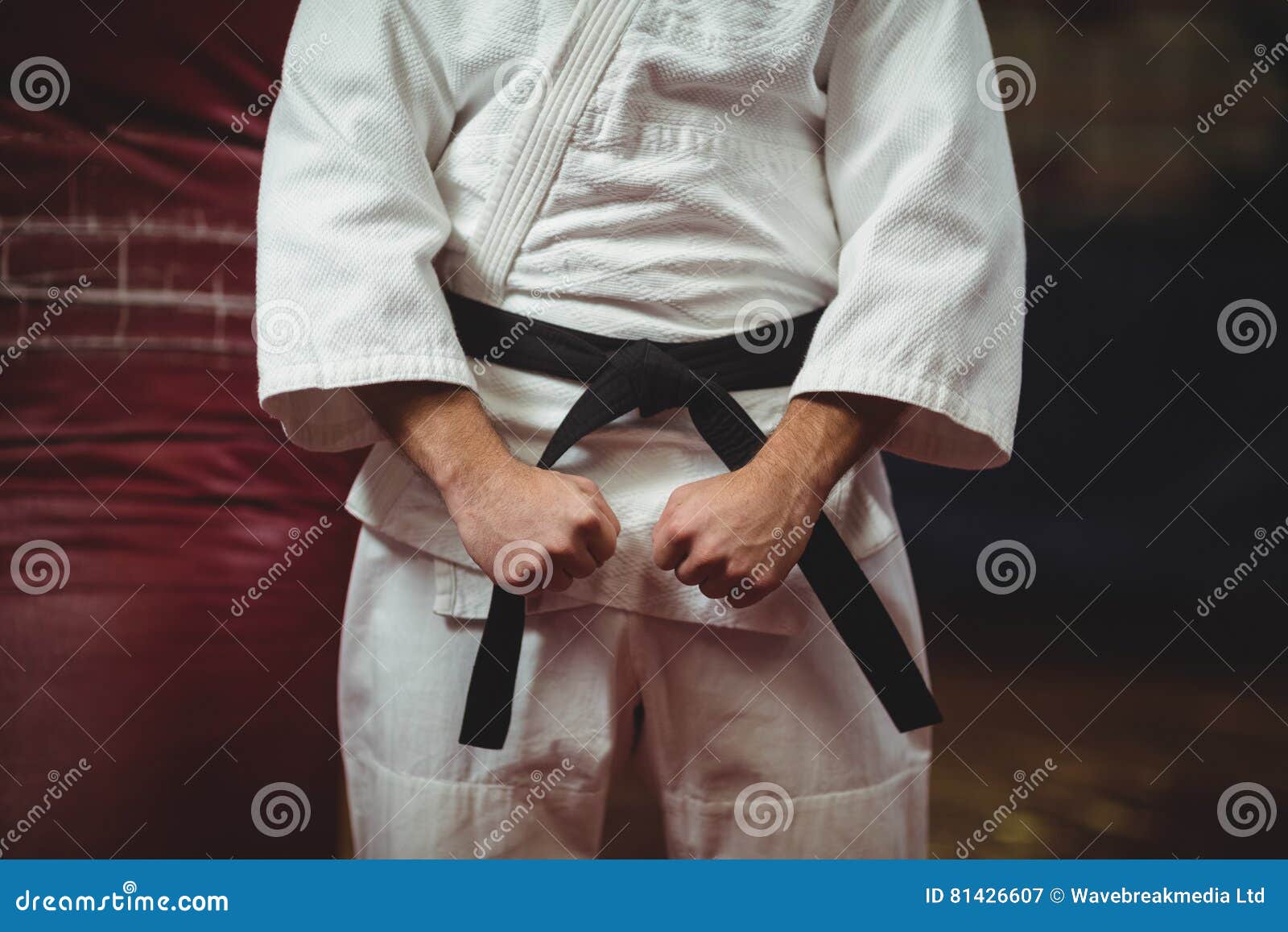 Mid Section of Karate Player Making Fist Stock Image - Image of studio ...