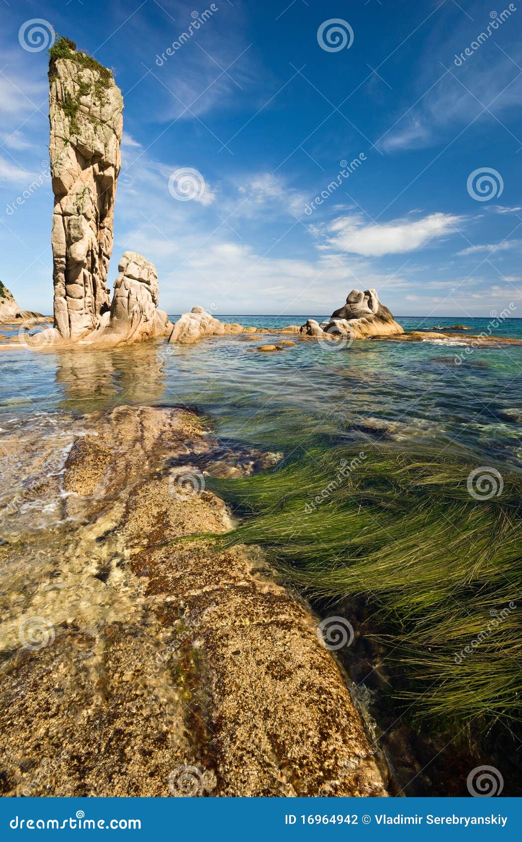 Midday landscape. stock photo. Image of view, ocean, kelp - 16964942