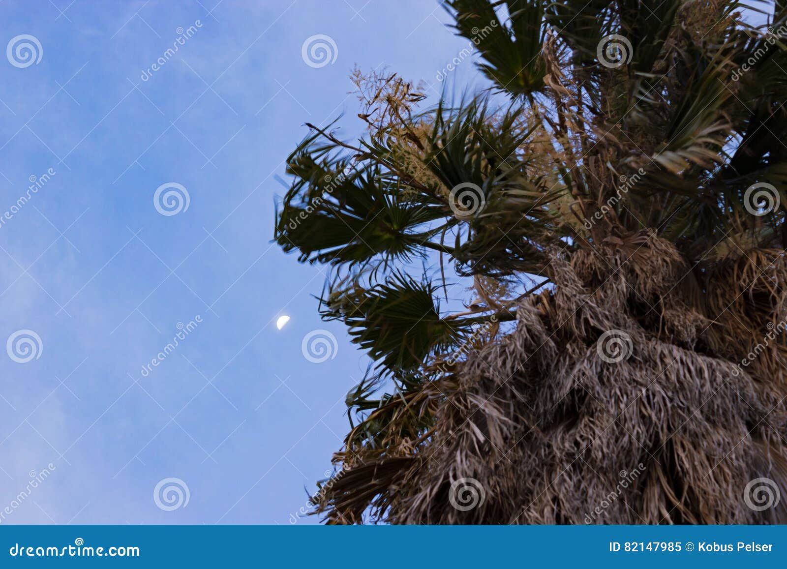 Midday moon stock image. Image of ozone, sunny, color - 82147985