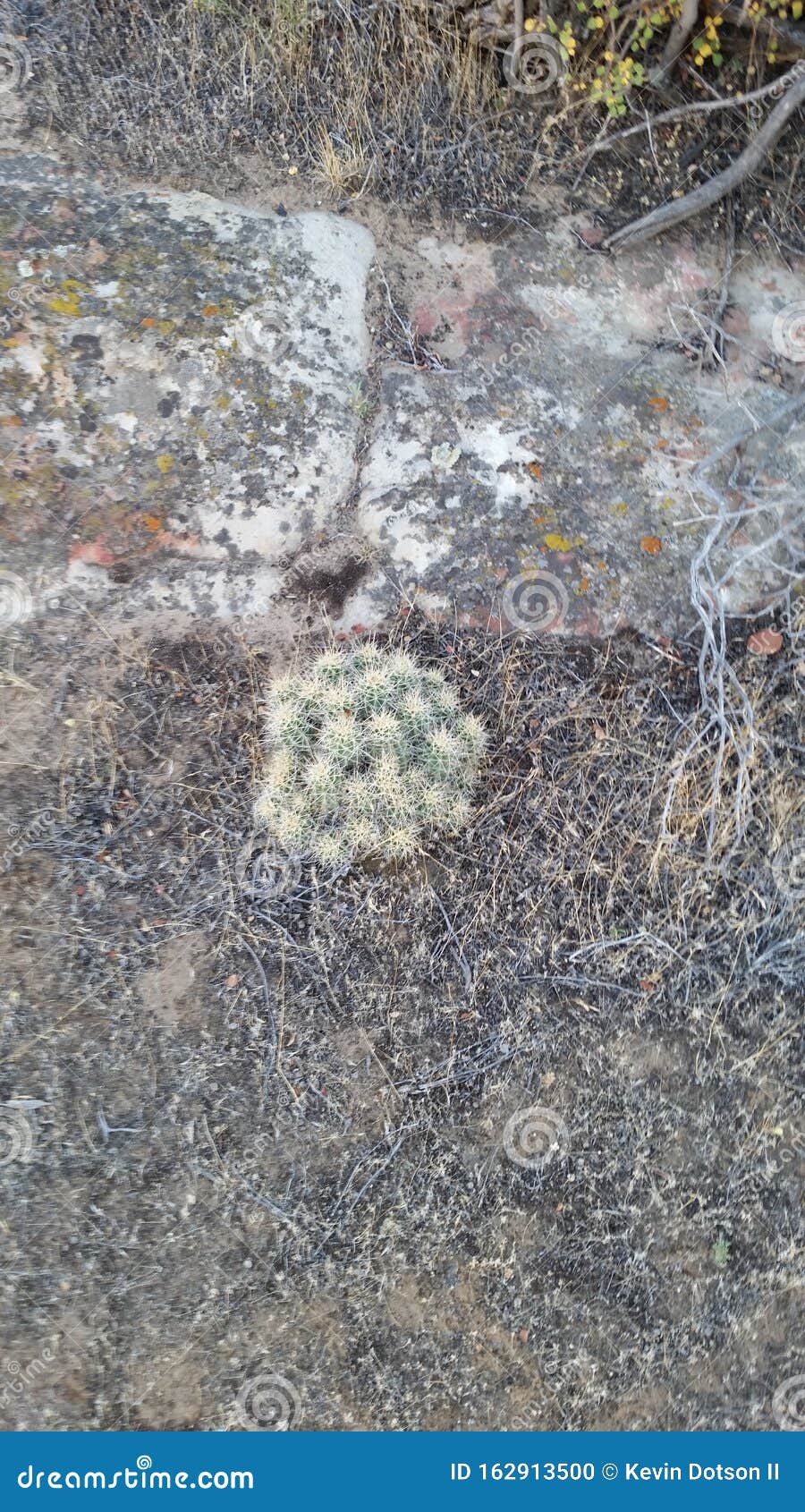 Midday Noon Mountain Side Hiking Stock Photo - Image of noon, side ...