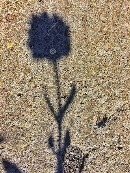 Midday shadow texture stock image. Image of surface - 123438581