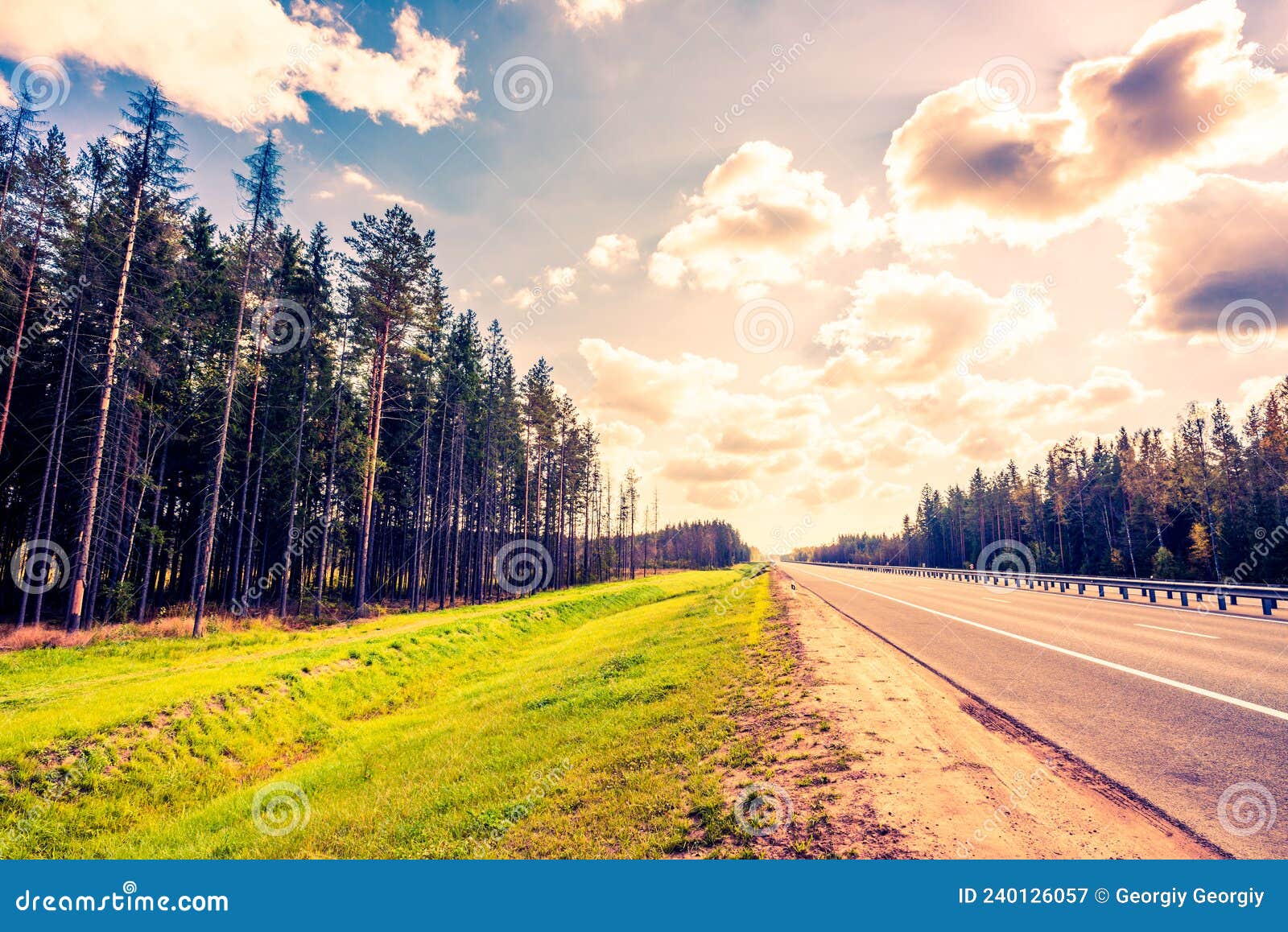 Midday Sun on Country Roads Stock Image - Image of dividing, forest ...
