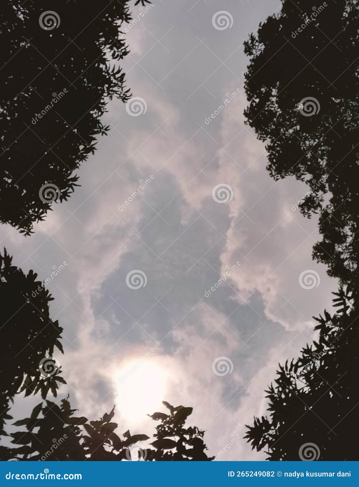 The Midday Sun between the Shady Trees Glimpsed Like a Black Hole Stock ...