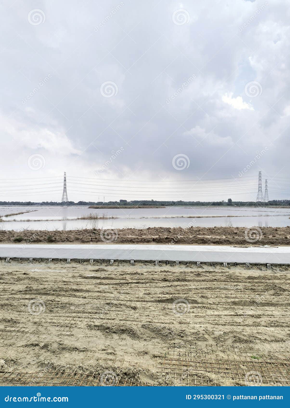 The Midday Sun Shines on the Water Surface in the Rice Fields, Which ...