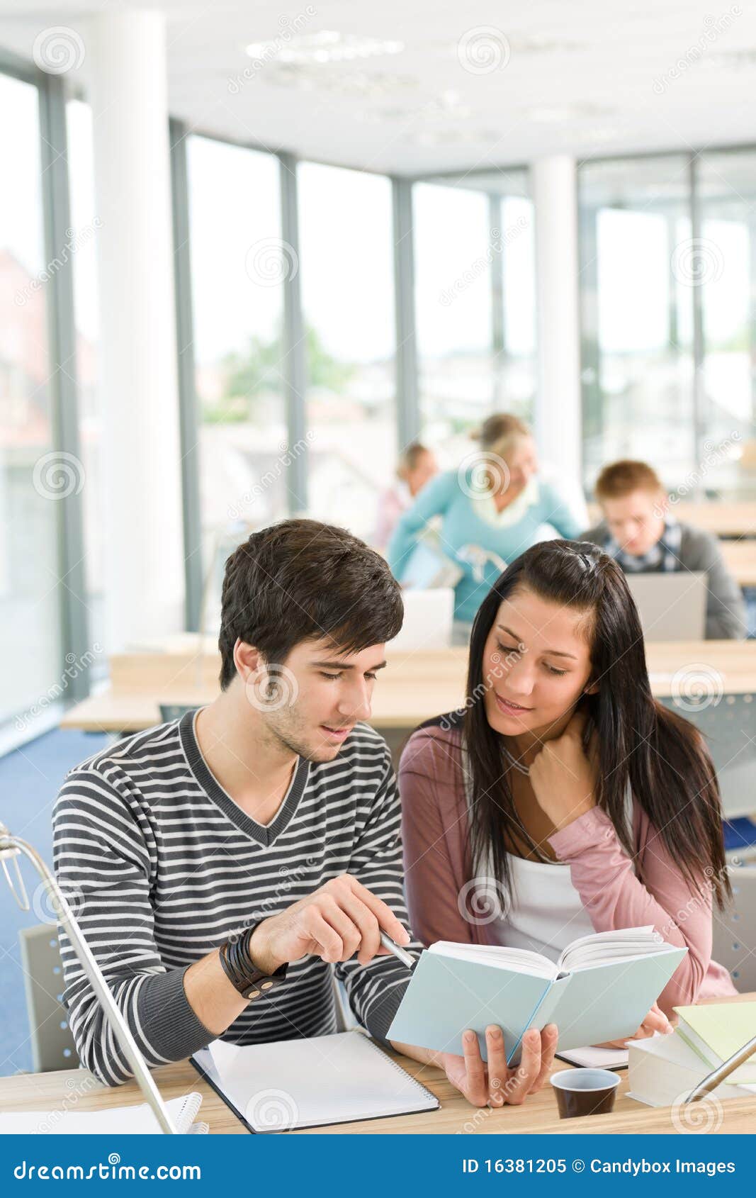 Middelbare School - Twee Studenten Gelezen Boek Stock Afbeelding ...